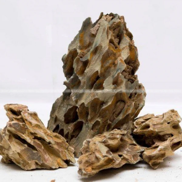 Marine Aquatics Nepal