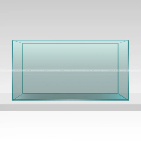 Marine Aquatics Nepal