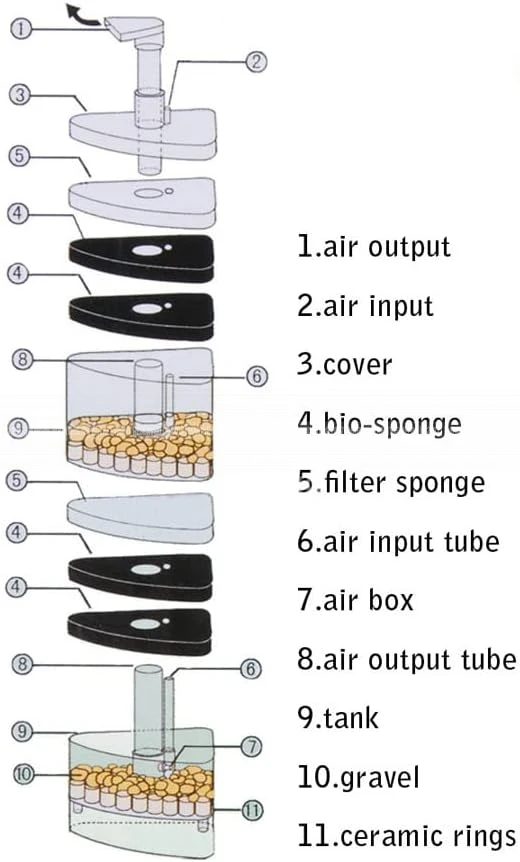 Marine Aquatics Nepal